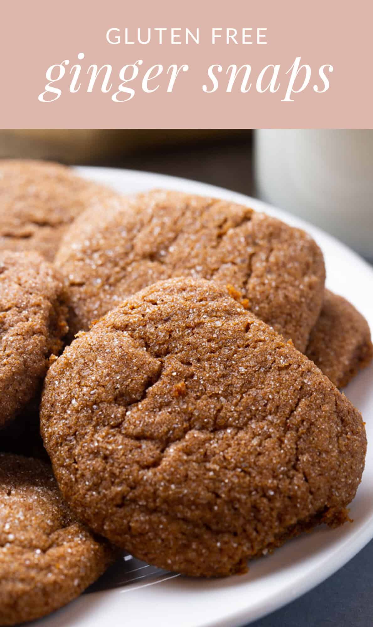 Gluten Free Ginger Snaps Easy Healthy Recipes gluten-free-ginger-snaps-easy-healthy-recipes