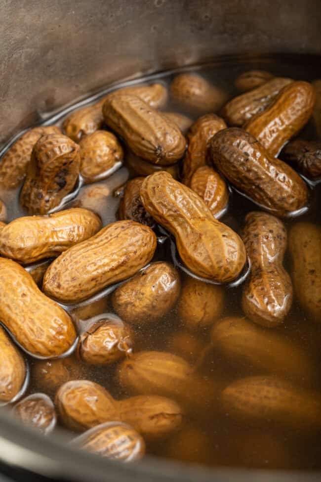 Instant Pot Boiled Peanuts - Easy Healthy Recipes