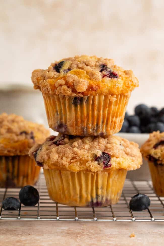High Protein Blueberry Muffins - Easy Healthy Recipes